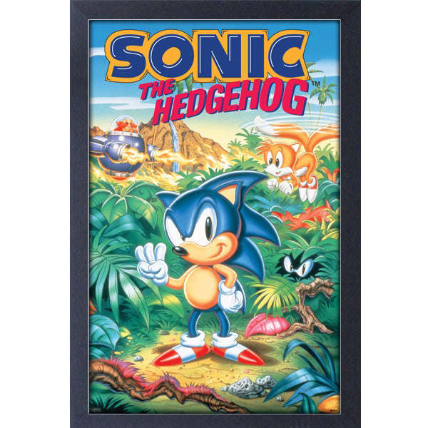 Sonic the Hedgehog 3 Game Cover 11″ X 17″ Framed Print – Retro North Games