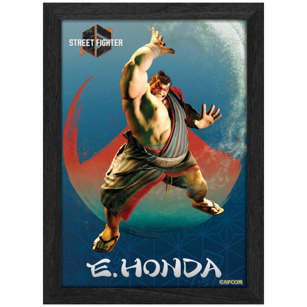 Street Fighter 6: E. Honda 10″ X 12″ Lenticular 3D Art Pixel Frame ...