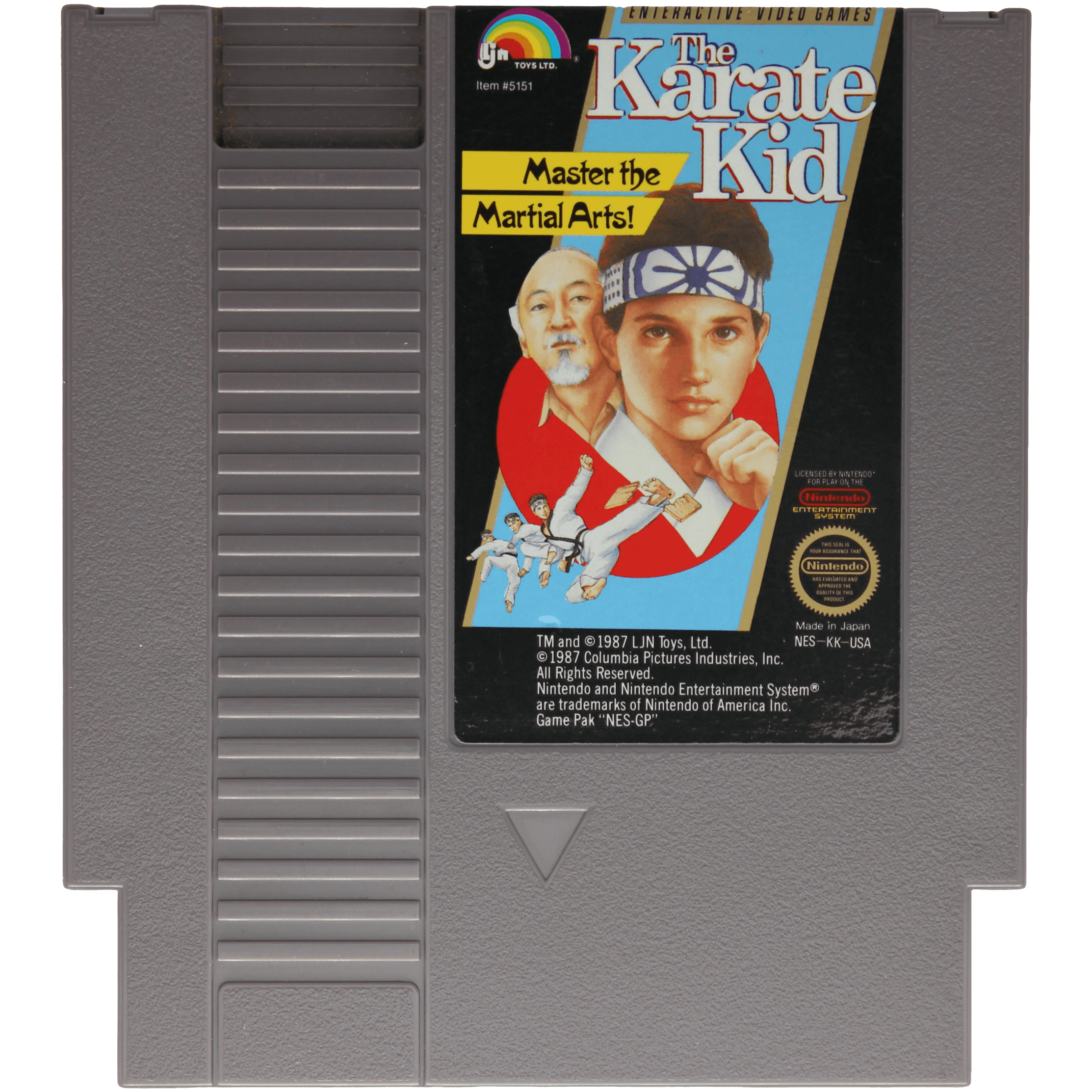 The Karate Kid Master The Martial Arts! (NES) – Retro North Games